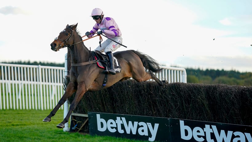 Cheltenham December Gold Cup Trends - DC Network